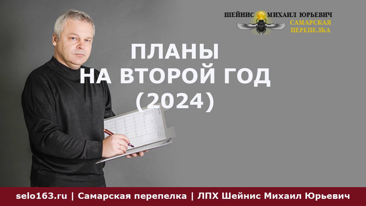 Планы на второй 2024 год