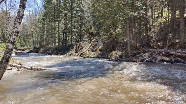 Медитация на природу