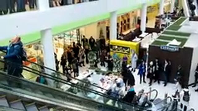 Флешмоб участников V международного хорового фестиваля им.Г.Е.Терацуянца (22.02.2019)