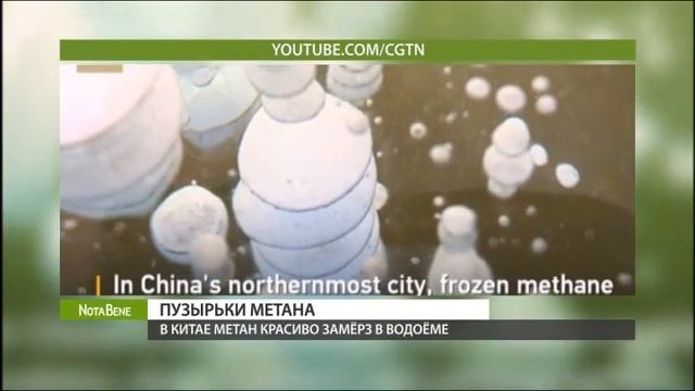 NotaBene 28.11.19 (Четверг)