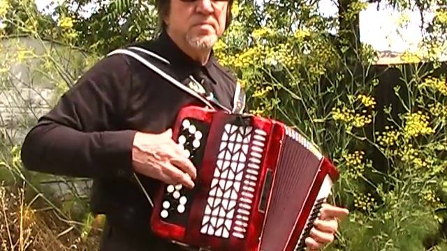 Waltz Domino - Accordion