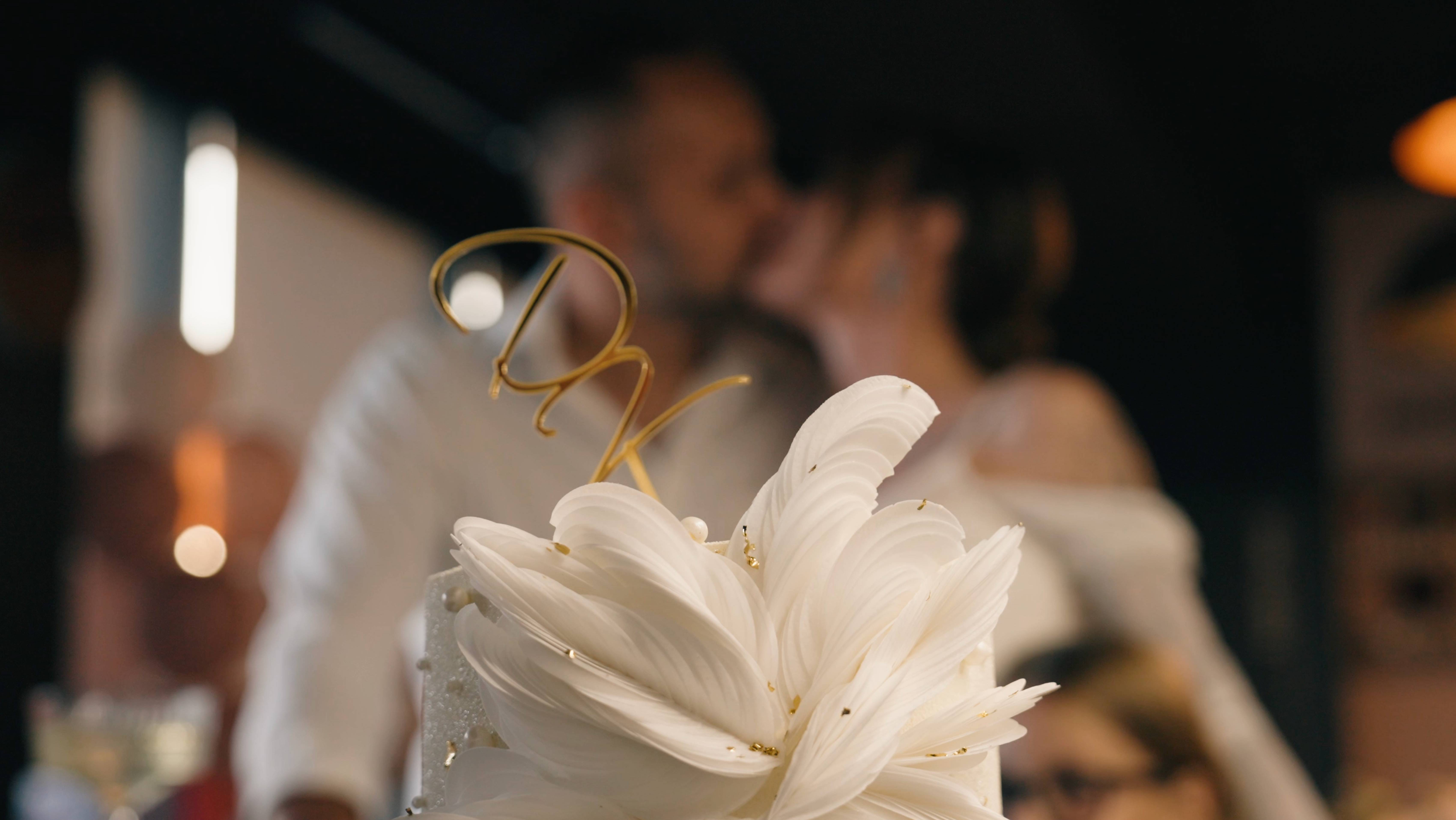 Свадебный клип - вечеринка Данила и Кристины