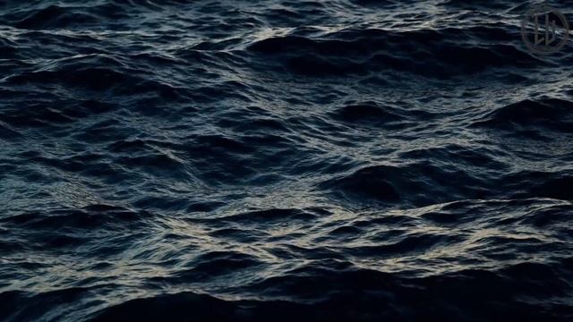 DJABBE sound. Dragon Incarnations. Immersion music.