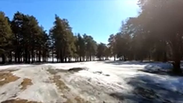 Прогулка в Зенковском парке. Март 2019.