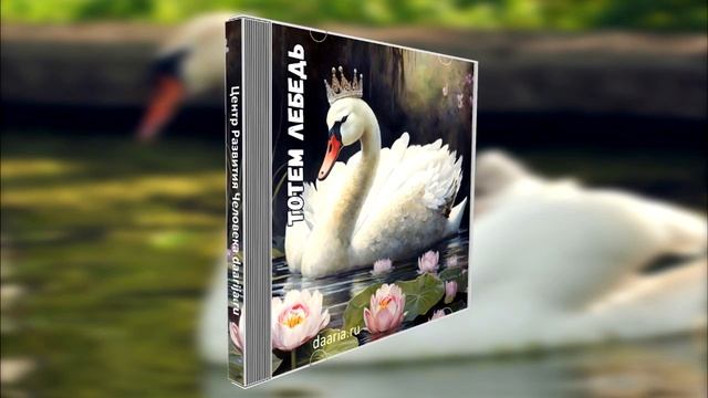 ТОТЕМ ЛЕБЕДЬ  - символ красоты, гармонии, трансформации