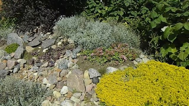 Йога Нидра с санкальпой - 2  \Ирина Городецкая \www.yoga-energy.spb.ru