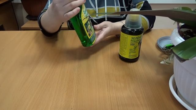 Препарат для защиты растений Зеленое мыло