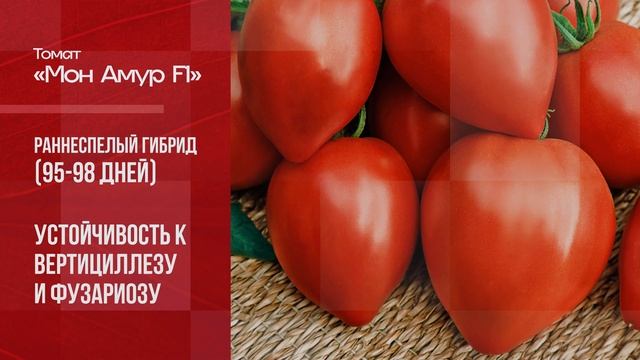 Томат Мон Амур F1