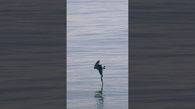 Немного красивого: Как выглядит съёмка видео при 2277 кадрах в секунду