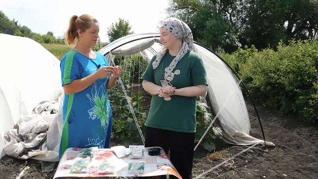 Клипсы для подвязки, стяжки и фиксации стеблей Быстрокреп