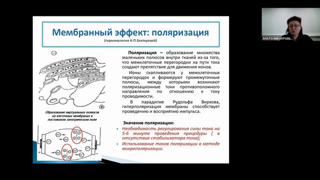 Микрополяризация: общая информация | Нейростим