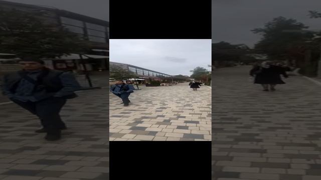 выгрузка у клиента. Дизельный генератор 150 кВт в еврокожухе с АВР для ресторана в г. Дербент