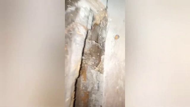 Как я самостоятельно провела канализацию в дом.