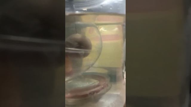 15-10-2024. Лукашов С.М. Более подробное пояснение причины наклона оси вращения планеты Земля