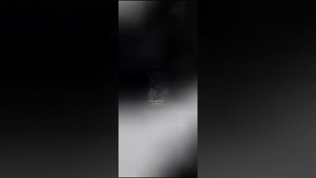 Видео WhatsApp 2024-10-05 в 06.12.16_a99e30a2