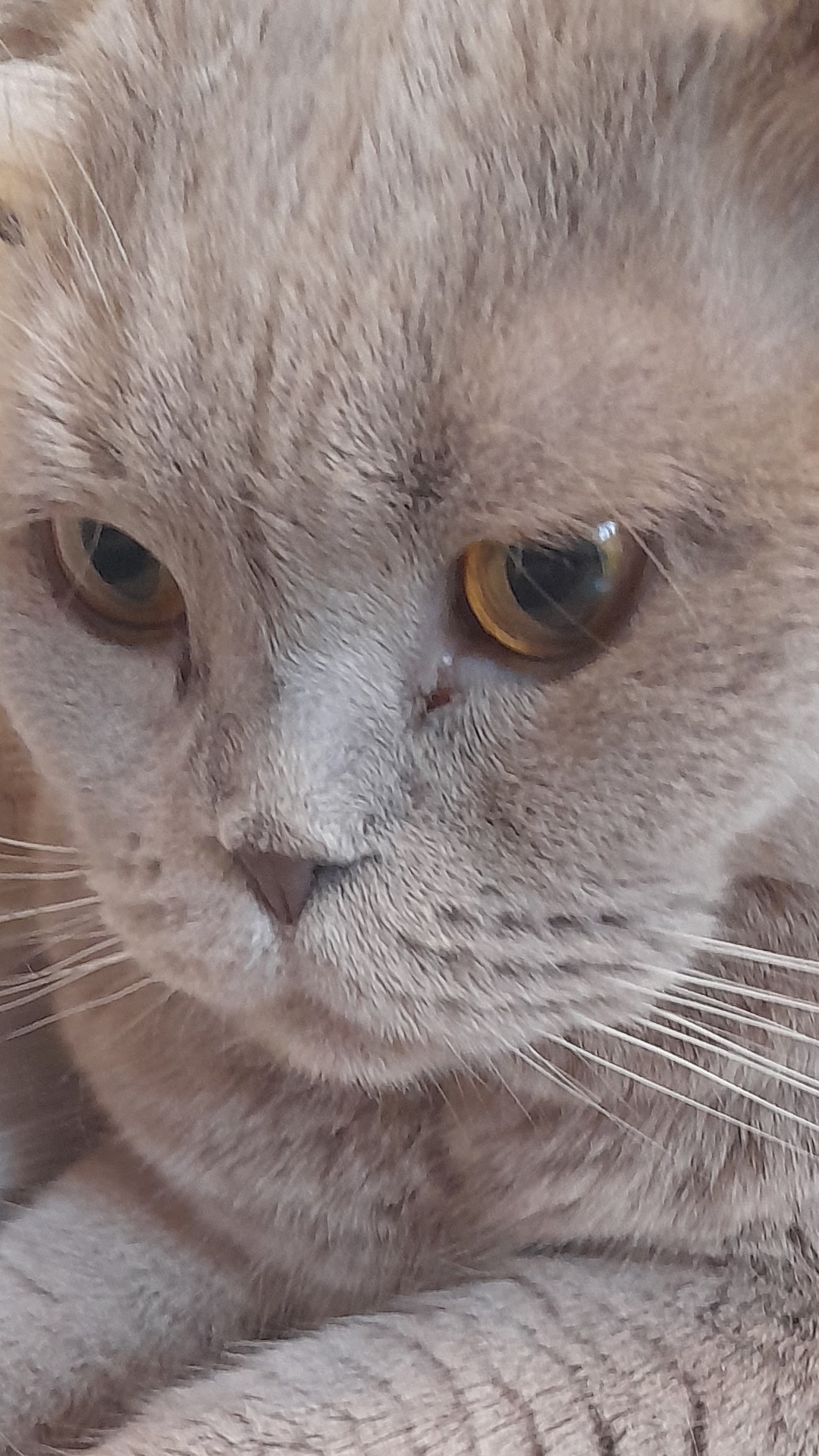 Идём работать😎