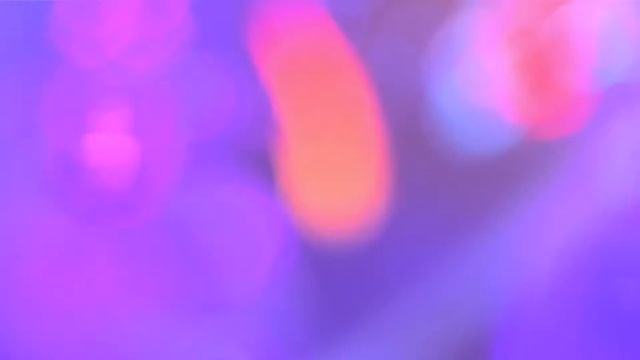 Световое шоу Сильфиды