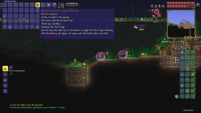 2 гения и коробка | Террария доп. эпизод