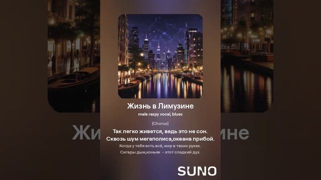 Жизнь в Лимузине