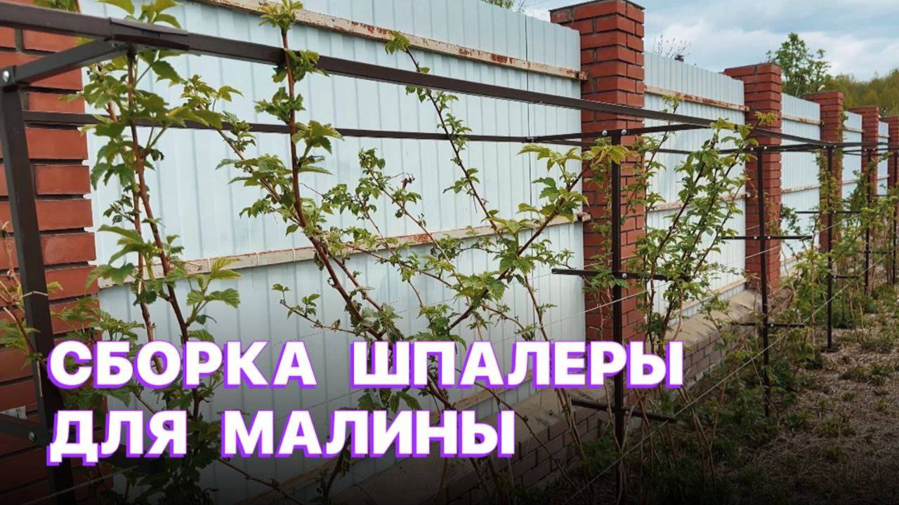 Сборка шпалеры для малины