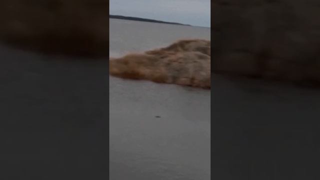 Место Силы, луна на море.