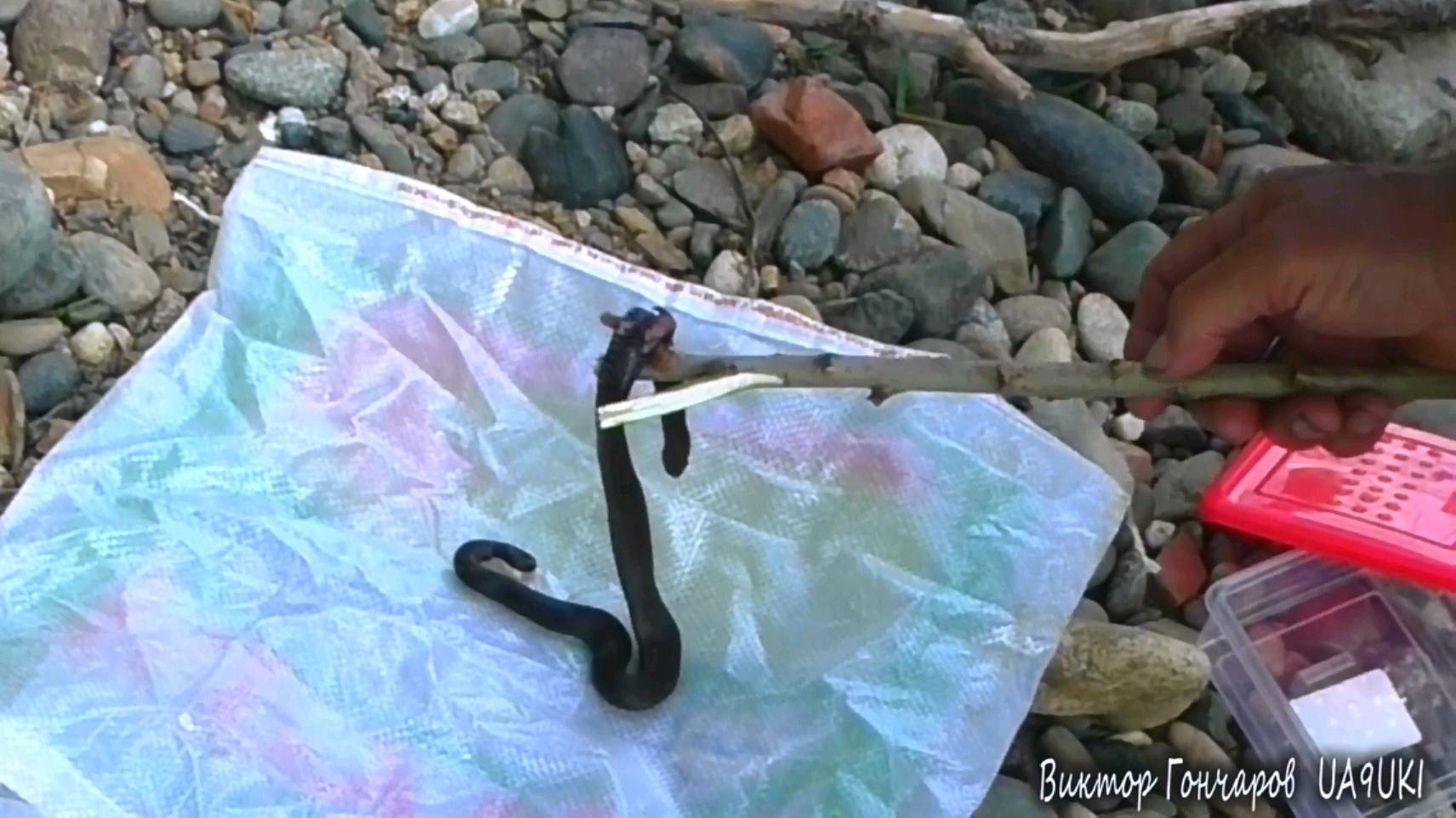 Как то,почти о рыбалке