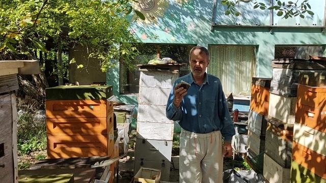 6 октября 2024г. Сегодня на пасеке. Сегодня в продаже.