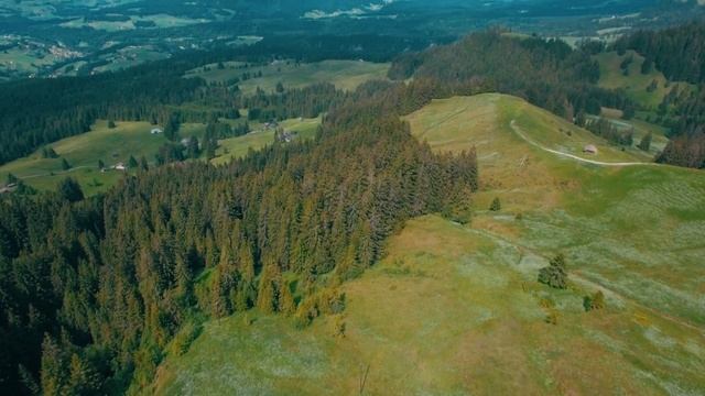 Марго - Это мажеренки