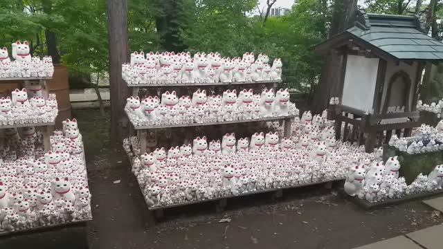 Япония: Легенда о манящем коте Манеки-нэко, рассказанная  в месте её возникновения