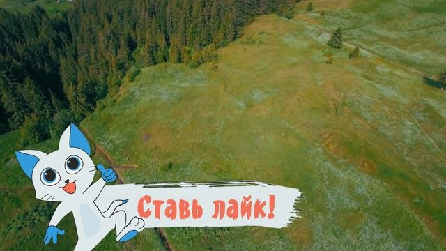 Михаил Кадышев and Dj Kalыvan - Я живой