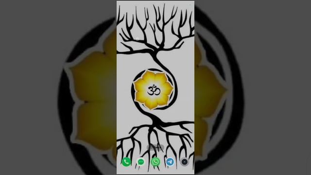 Видео WhatsApp 2024-09-19 в 05.06.41_72499b7d