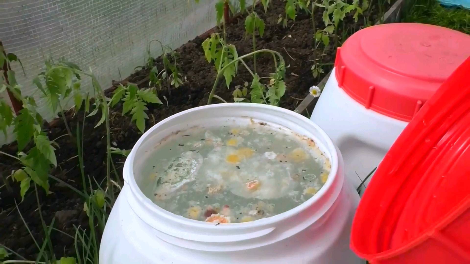 Квас из берёзоваго сока,ответы на вопросы