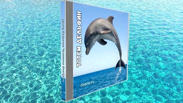 ТОТЕМ ДЕЛЬФИН - символ радости, игривости, дружелюбия, интеллекта.