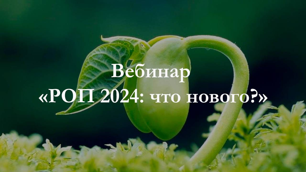 Вебинар "РОП 2024: что нового?"