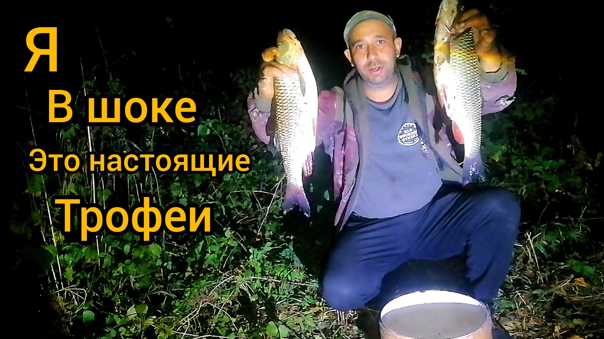 Вечерняя заря Дала хороший результат! Рыбалка на лесной реке.