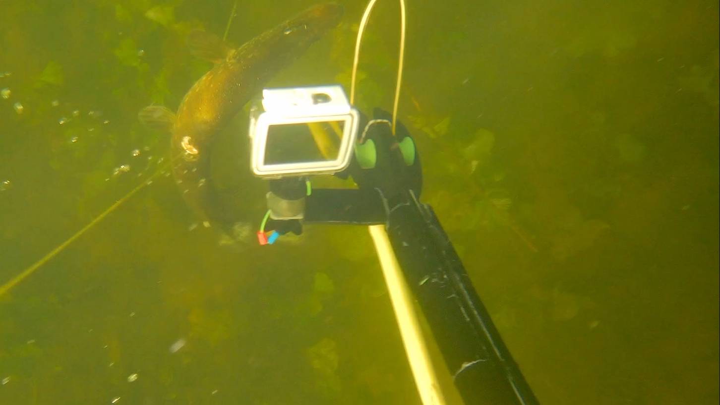 Подводная охота в завалах и труднодоступных местах на реке