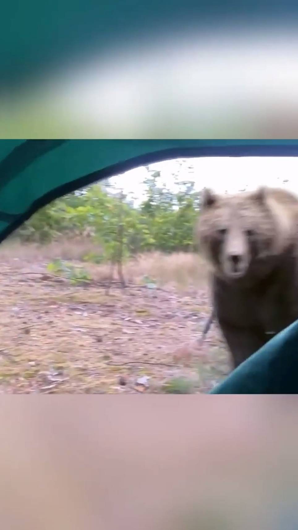 Сходи на природу, говорили они...