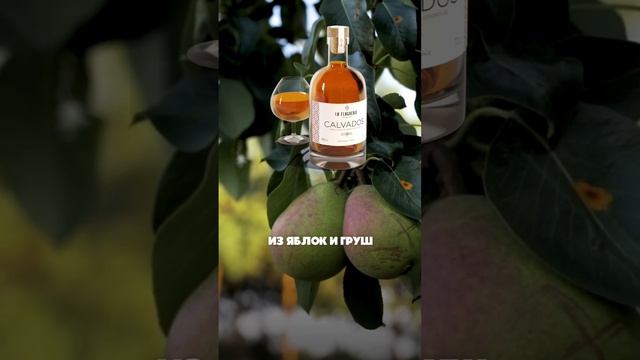 Путеводитель по Коллекциям СОМЕЛЬЕ. Что такое бренди?