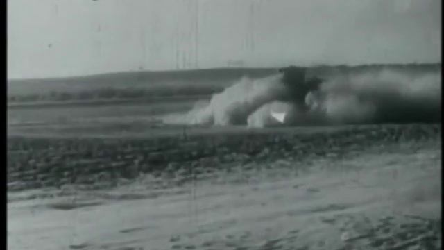 Ударная сила, МОРСКОЙ ЗУБР