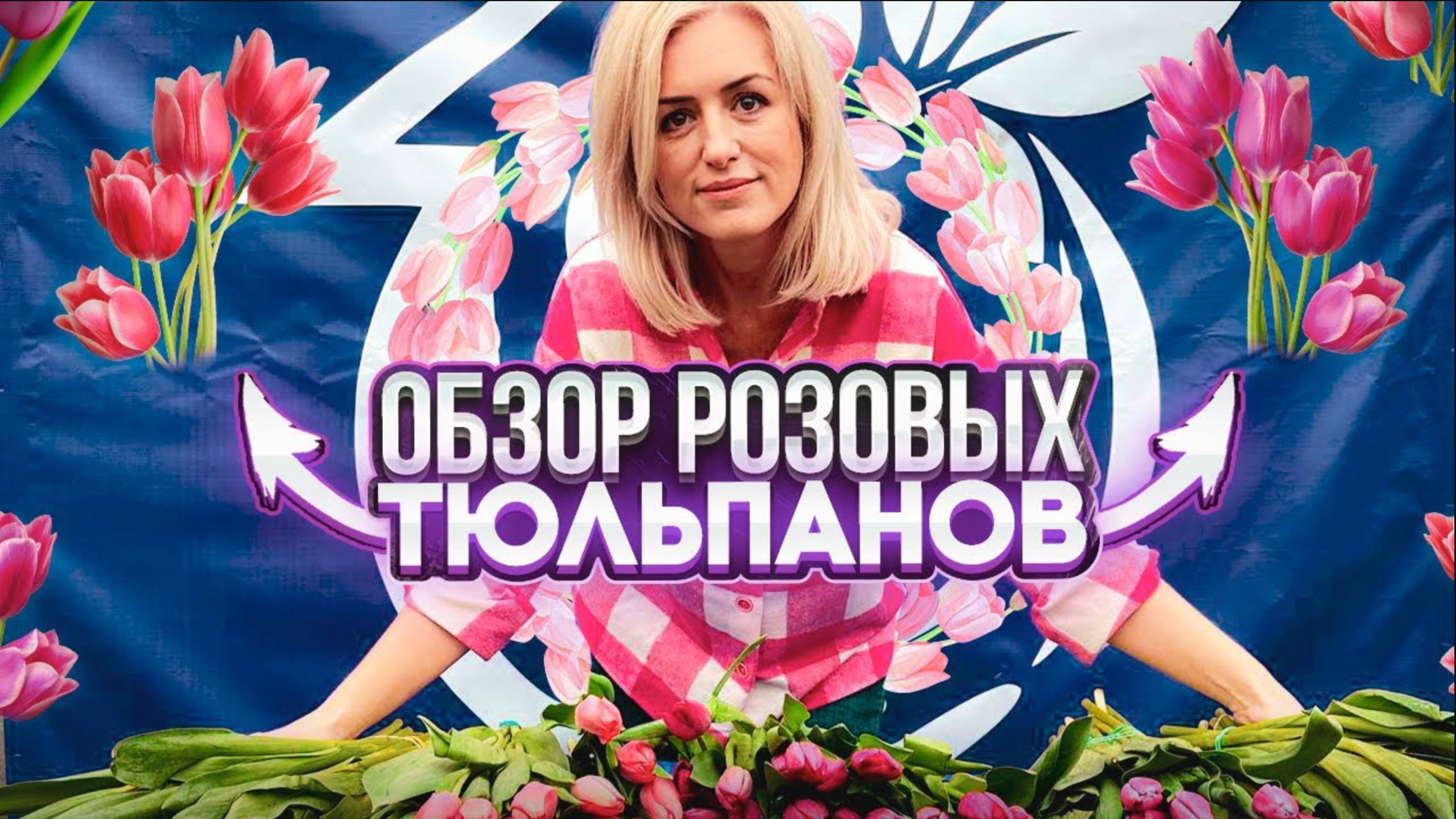 Обзор сортов розовых тюльпанов