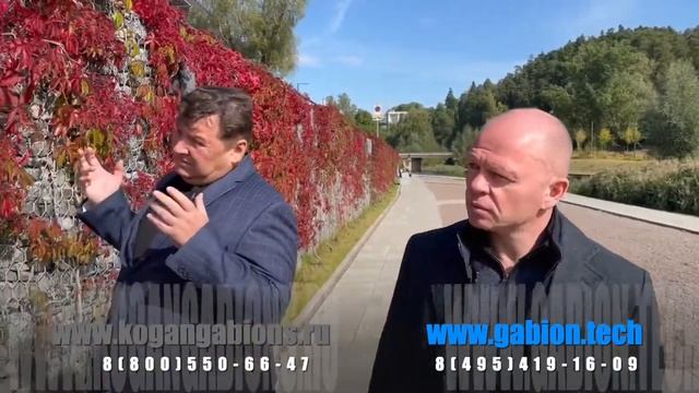 7 лет этой Габионной стене, а она только крепчает