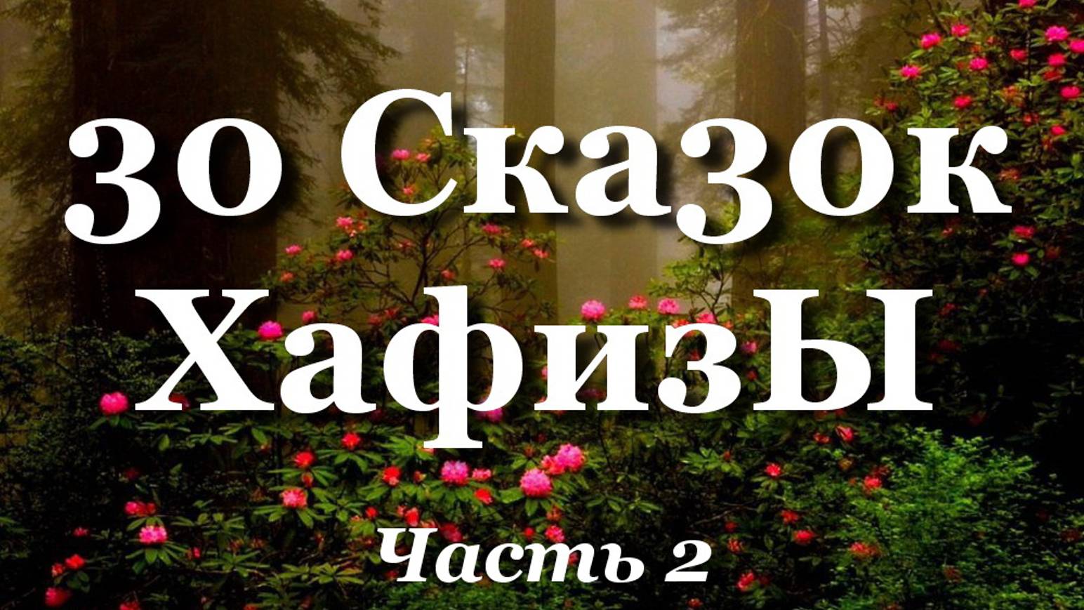 30 Ска30к ХафизЫ. Часть 2.