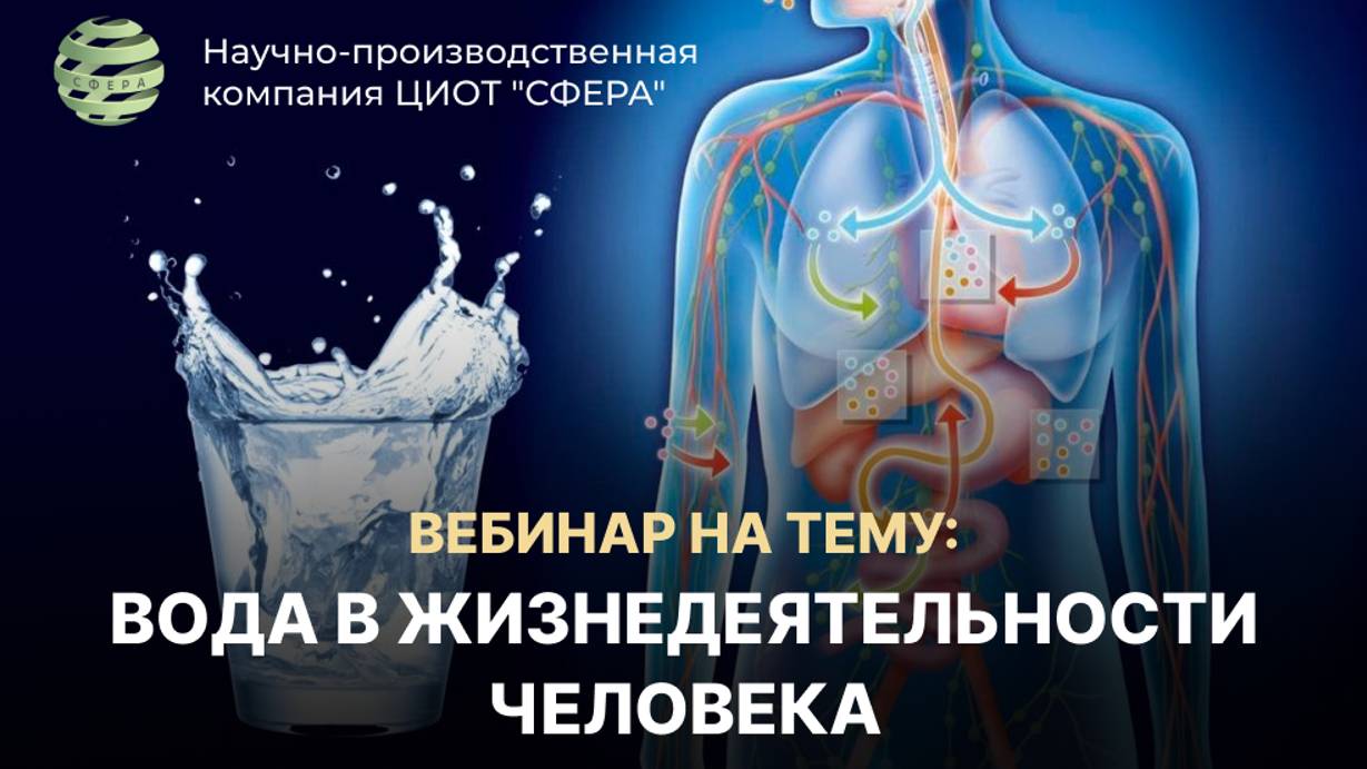 Вода в жизнедеятельности человека