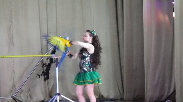 Животные в цирке