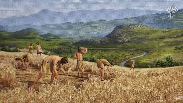 08-ВЕРСАДОКО-Альтернативная история земледелия (03+05+04 части)