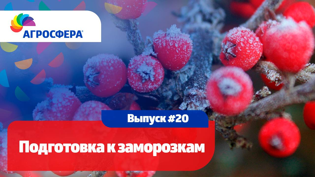Подготовка сада к похолоданиям, советы для дачи и сада / агросфера.рф