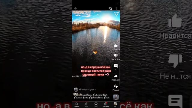 Видео WhatsApp 2024-09-29 в 06.28.40_2db491d9