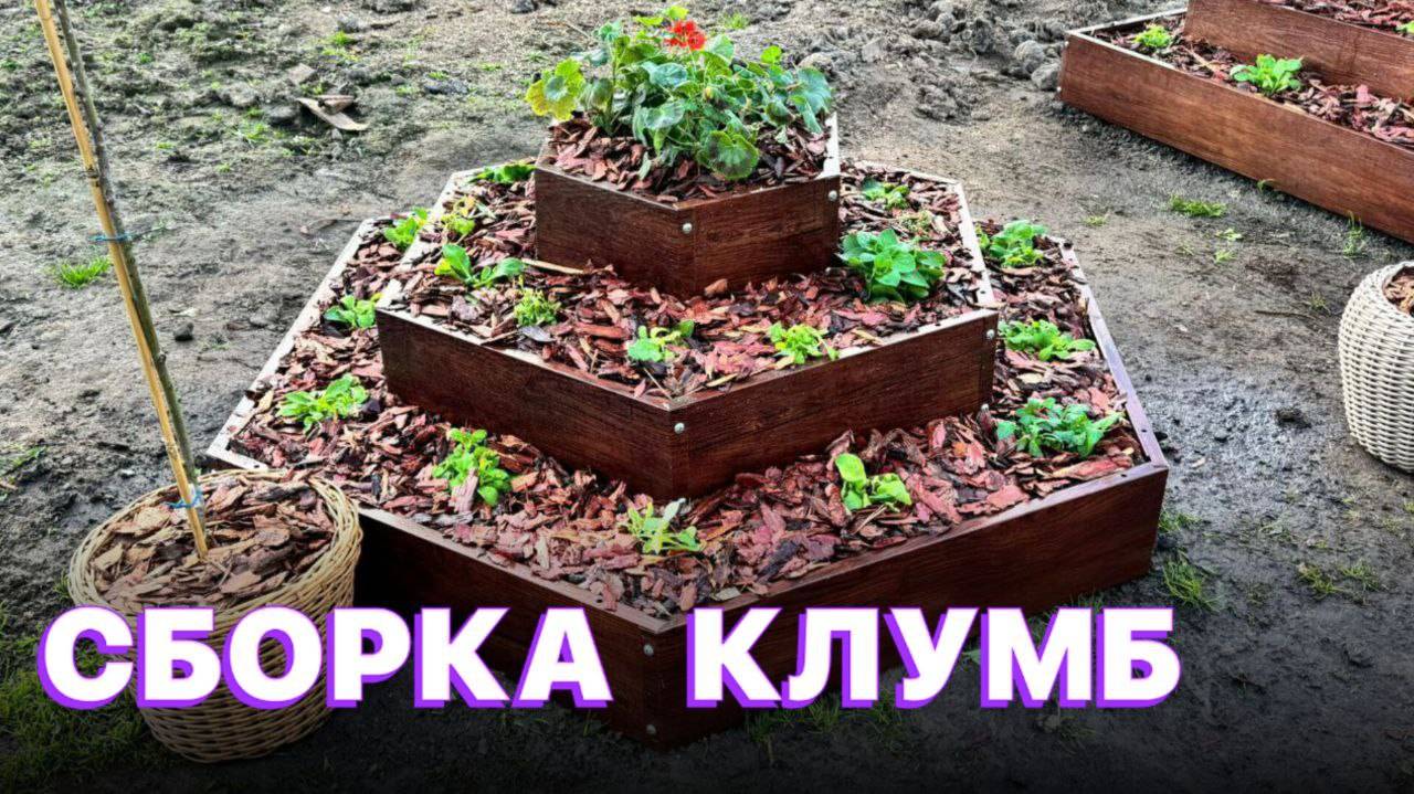 Клумбы для вашего сада и огорода