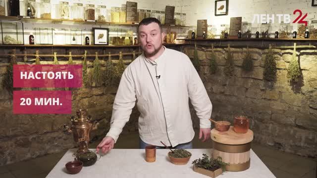 Как восстановить обмен веществ. Травник Денис Кайгородов в эфире программы Будим в будни