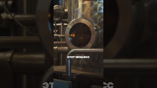 Путеводитель по Коллекциям СОМЕЛЬЕ. Что такое крепкий алкоголь?